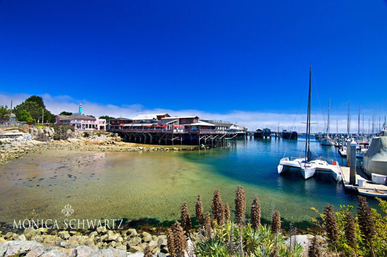 Morning at Colorful Fisherman’s Wharf | Monterey, California | Life Out ...