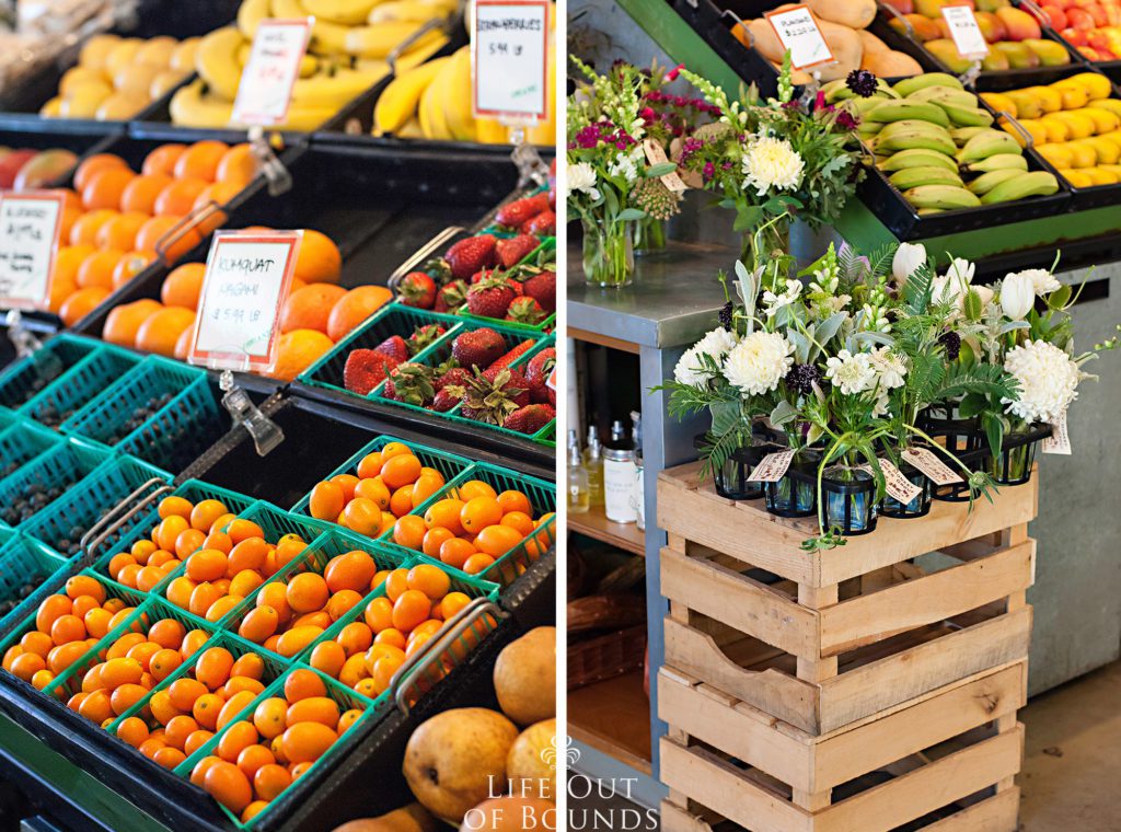 OXBOW PUBLIC MARKET | NAPA, CALIFORNIA | Life Out of Bounds