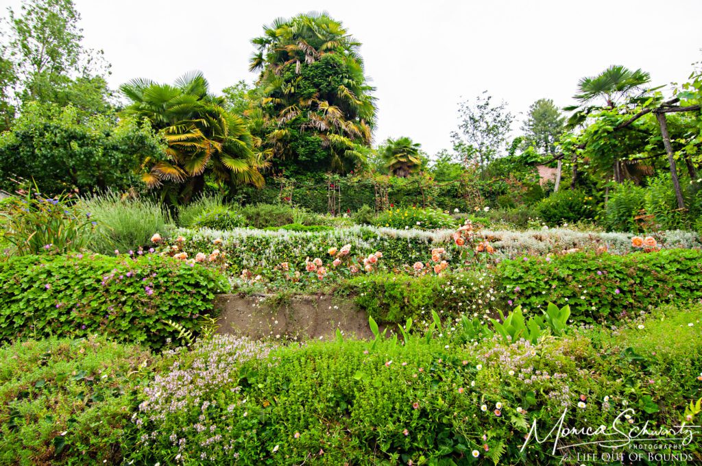 BATHING AMIDST THE ROSES | ADIMA’S SPRING GARDEN, ITALY | PART 3 | Life ...