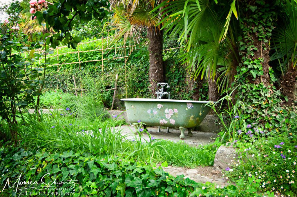 BATHING AMIDST THE ROSES | ADIMA’S SPRING GARDEN, ITALY | PART 3 | Life ...