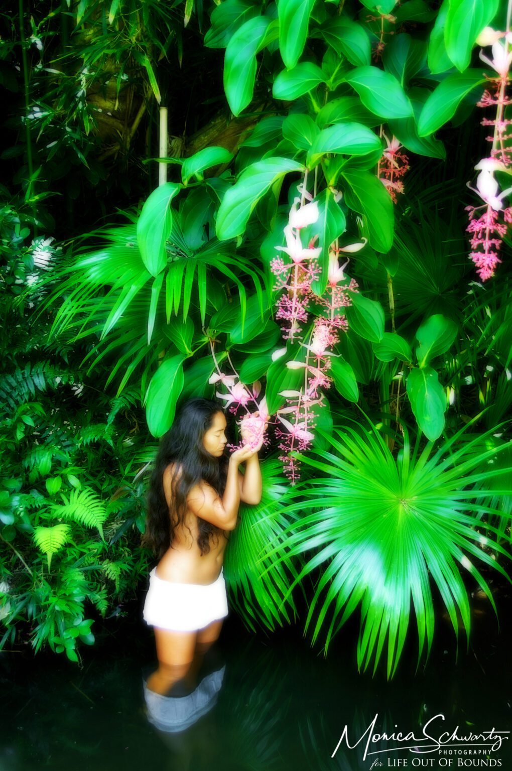 The Faerie of Luakaha Falls | O’ahu, Hawai’i | Life Out of Bounds